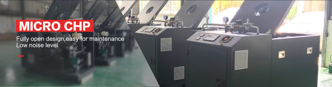 Quality Natural Gas CHP & Micro CHP factory from China