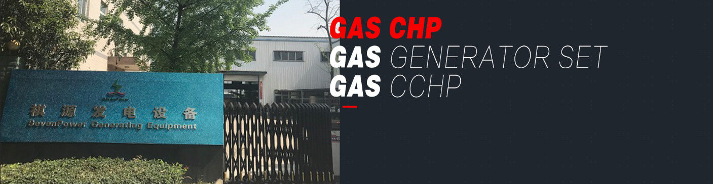 Quality Natural Gas CHP & Micro CHP factory from China