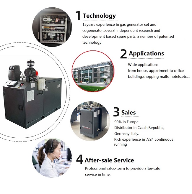Small Scale Natural Gas Methane LPG Fuel 3 Phases Single Phase 20KW ...