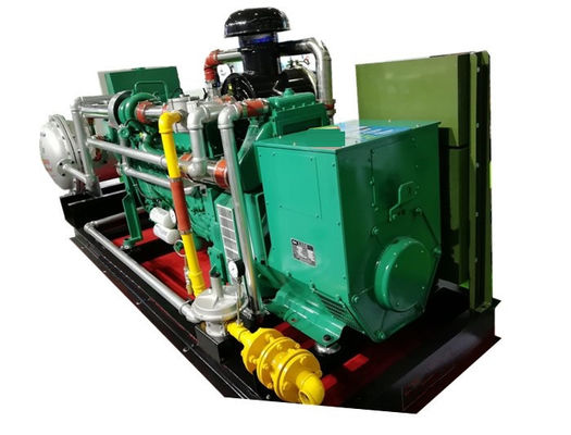 Green Energy Biogas CHP 16KW 20KVA , Biogas Combined Heat Power System ...