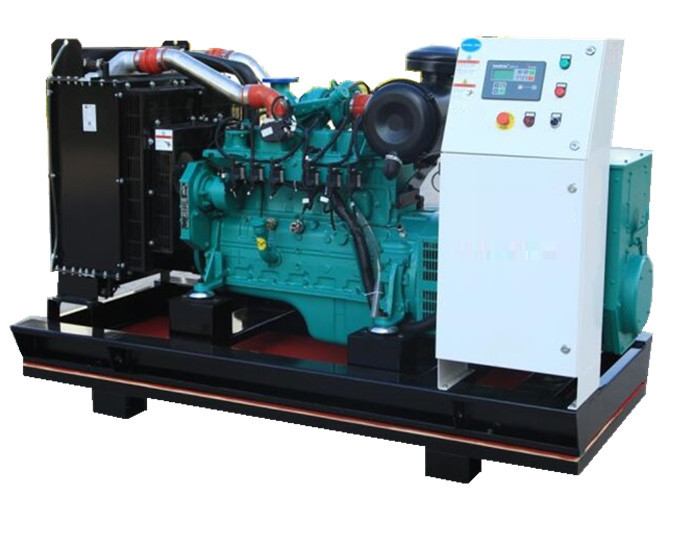 Clean Energy Biogas Generator Set , 130KW 160KVA Methane Engine Generator