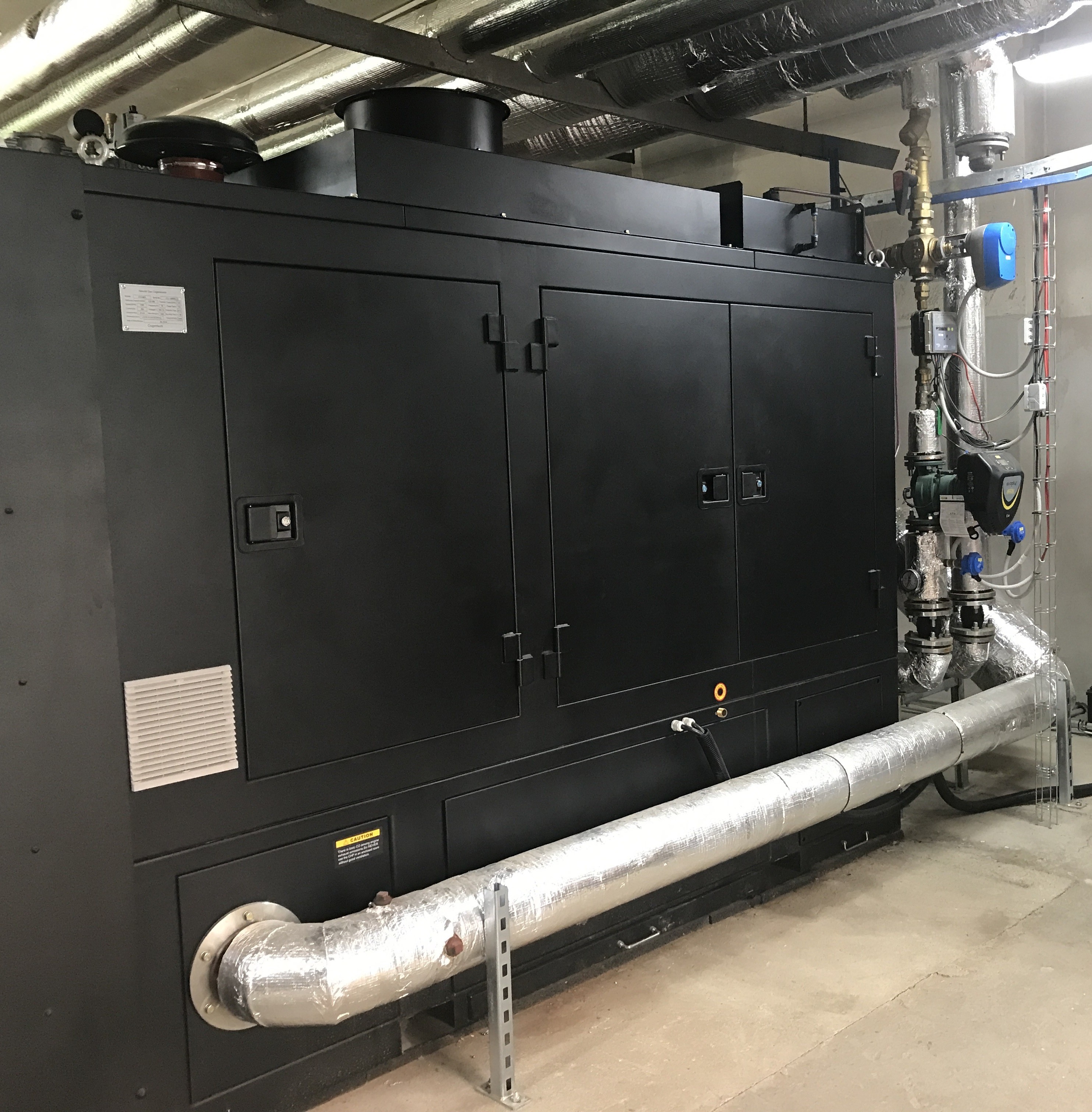 Natural Gas CHP Generator Set CE Certification 200KW 250KVA 50Hz